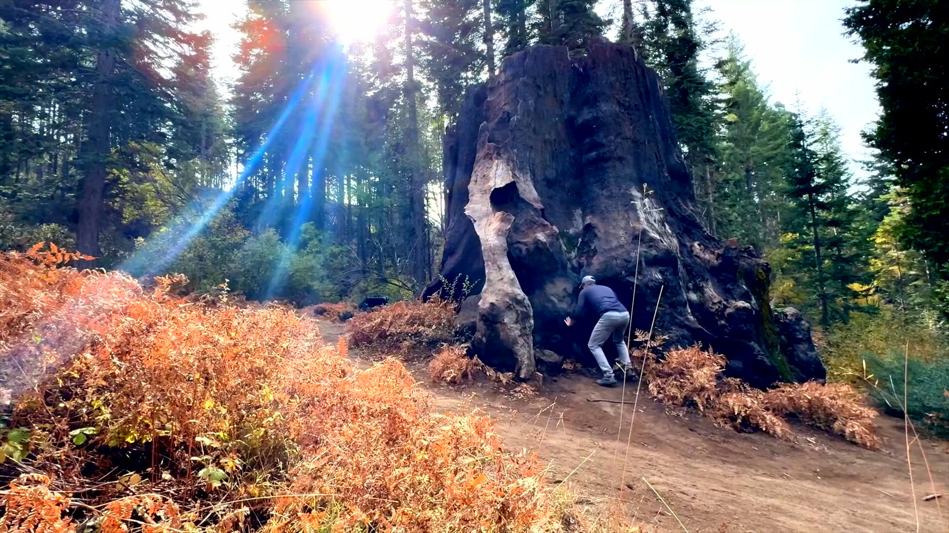 Burn the Script ~ Episode 7 | RHStv