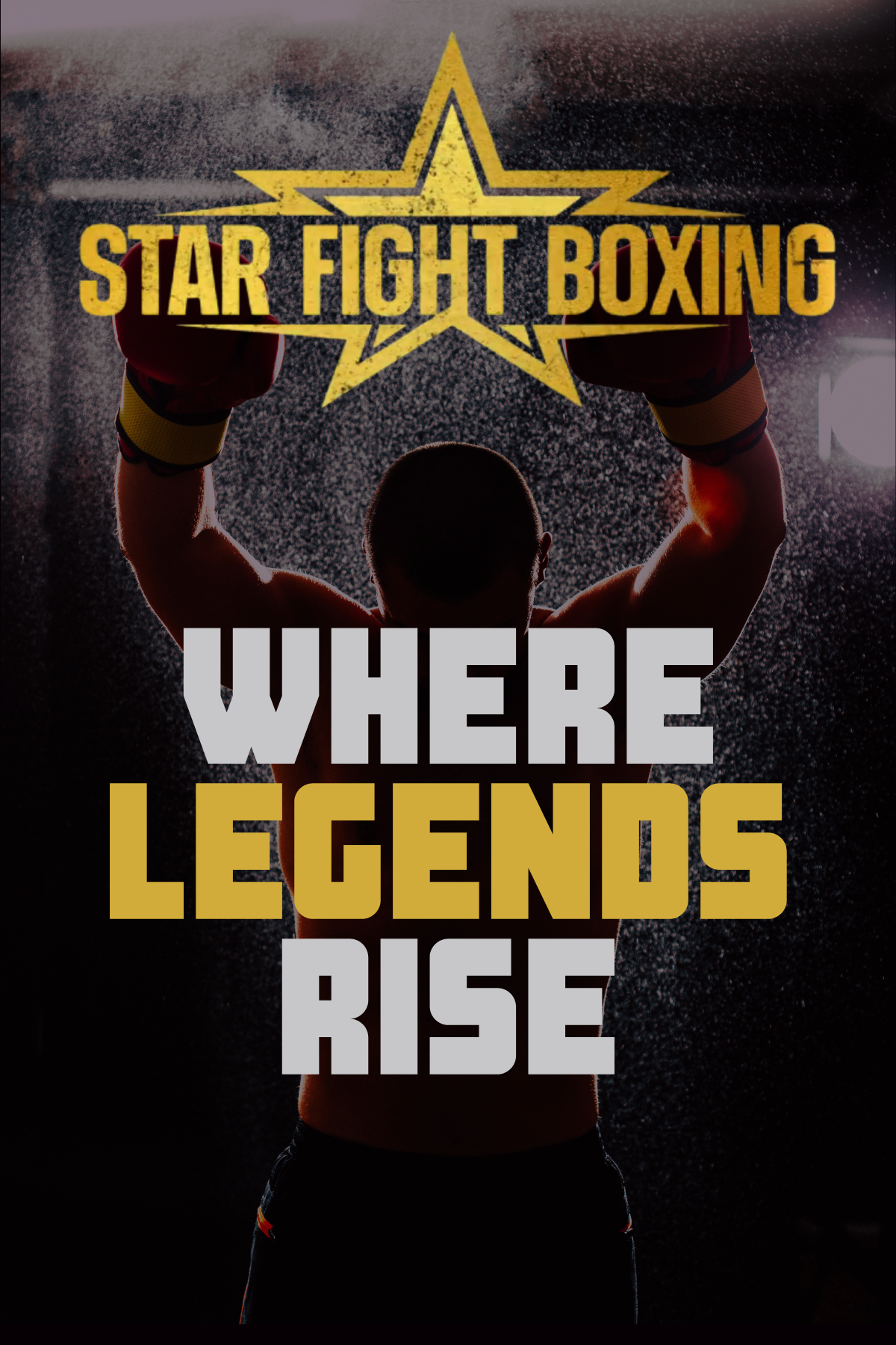 Star Fight Productions Boxing