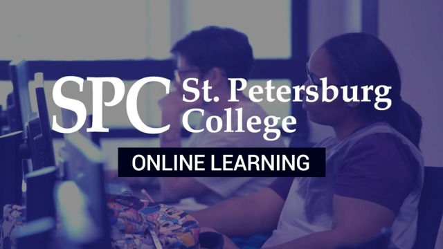 YNN: 12th Annual Great St. Pete Cupcake Contest | RHStv